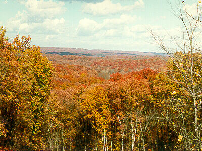 Terrestrial Ecosystems