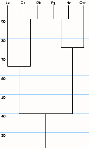 Phylogenetic Analysis