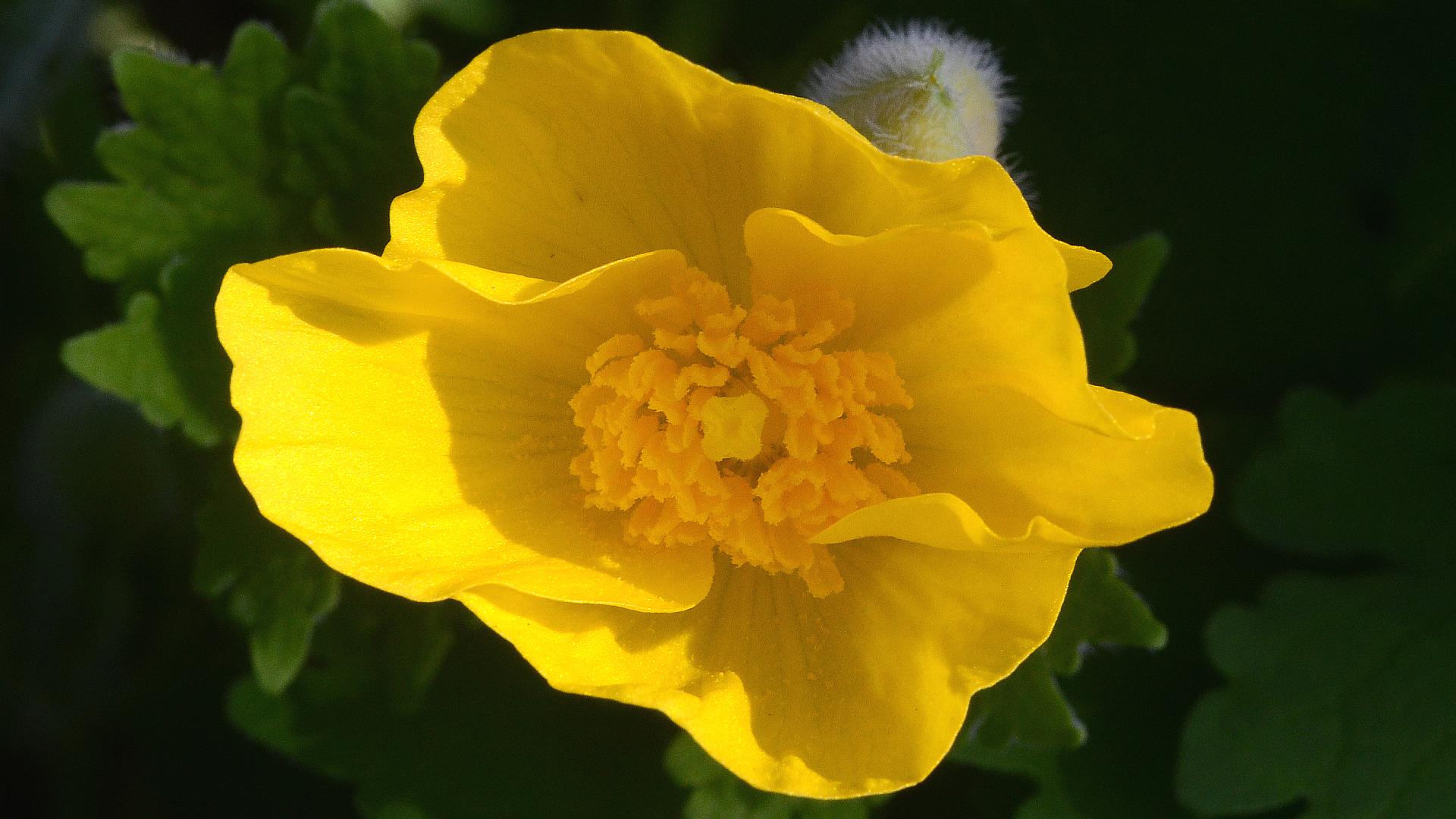 List of Creation Photos (1920×1080)